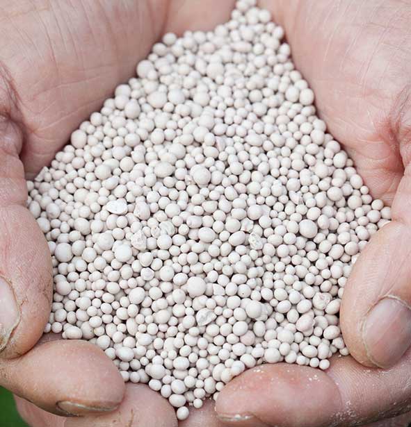 Gras bemesten in de herfst - GewoonGroenGras